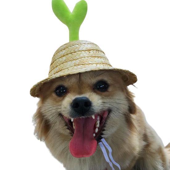 Cheap Ornamental Pet Hat Lovely Sun Protection Lightweight Lovely ...