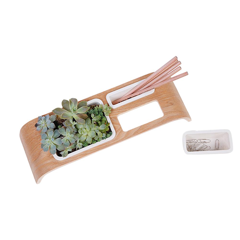Buy Desktop Storage Box Mini Multi-Functional Succulent Plant Flower ...