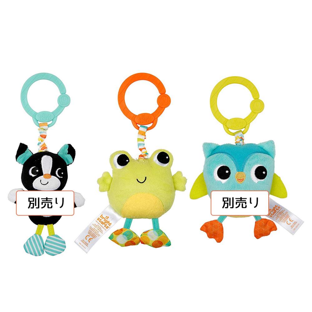 Buy Bright Starts Bright Starts Take & Shake Frog (8808-03) by Kids II ...