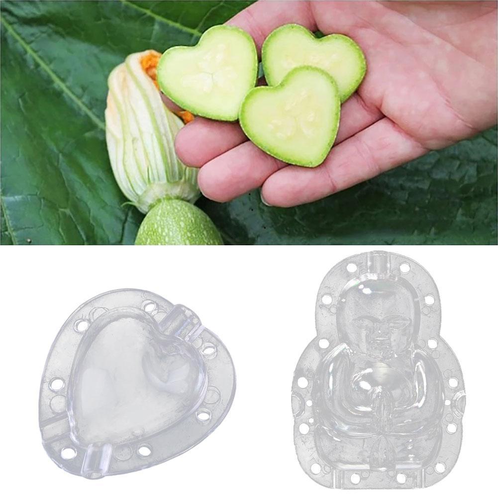 Buddha-shaped Garden Fruits Pear Peach Growth Forming Shaping Tool Mold ...