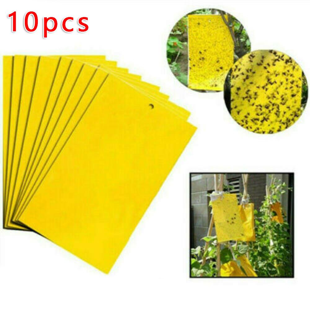 Buy Rat Poison Strong Super Sticky Rats Board Mouse Trap Sticky ...