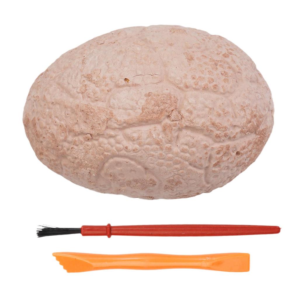 Buy Dinosaur Fossil Excavation Toys Archaeological Dig For Children ...
