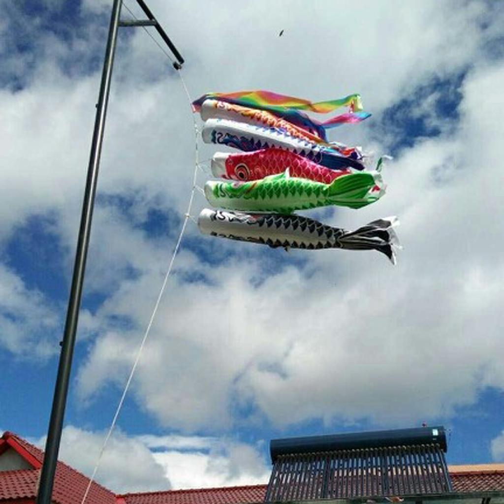 Cheap 2x Rainbow Windsock Carp Flag Koinobori Wind Streamer Hanging ...