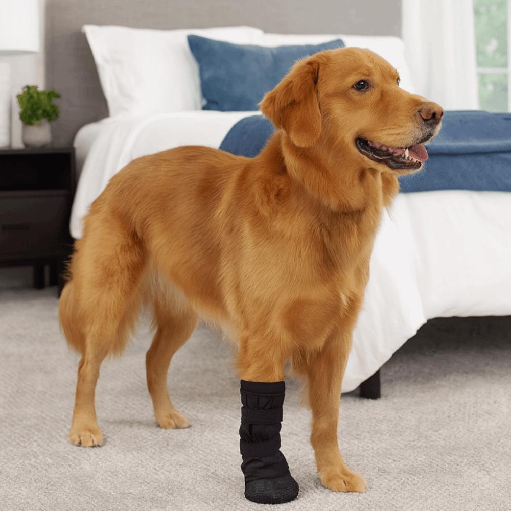 Buy Adjustable Dog Paws Protective Cover Waterproof Dog Shoes Wound ...