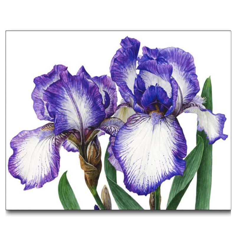 Irises Diamond PaintingCross Stitch Kits Diamond Embroidery Pictures of ...