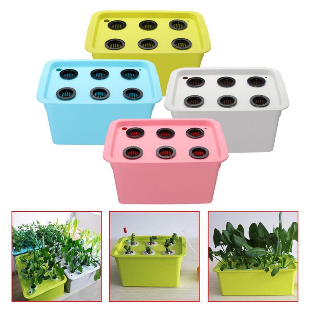 Buy 6 Holes 50Hz Plant Site Hydroponic System Grow Bubble Tub DWC Deep ...