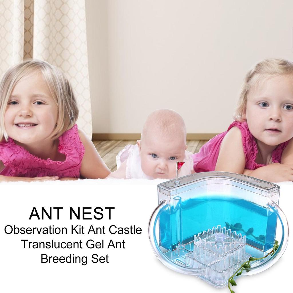 Kaufe Ant Nest Observation Kit Ant Castle Translucent Gel Ant Breeding ...