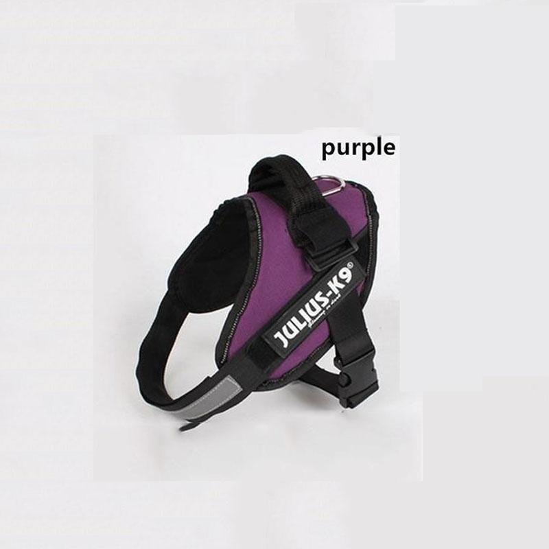 Buy Dog Explosion-proof Pet Chest Strap Pet Supplies Adjustable Nylon ...