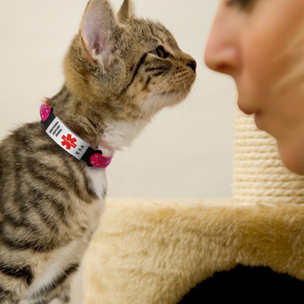 Buy Slide-on ESA Pet Cat Dog Tag for Dog Collar Emotional Support ...