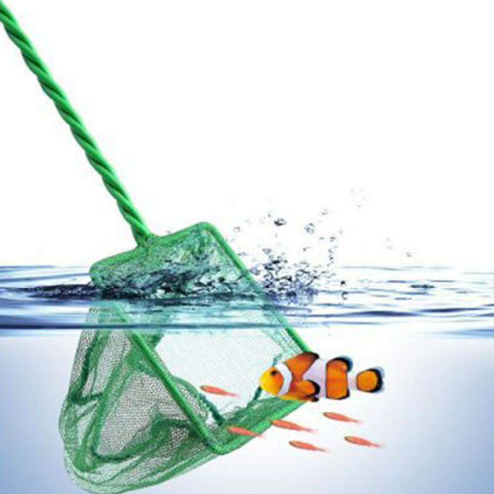 Buy 8inch Durable Fishing Catching Net Small Goldfish Pond Care ...