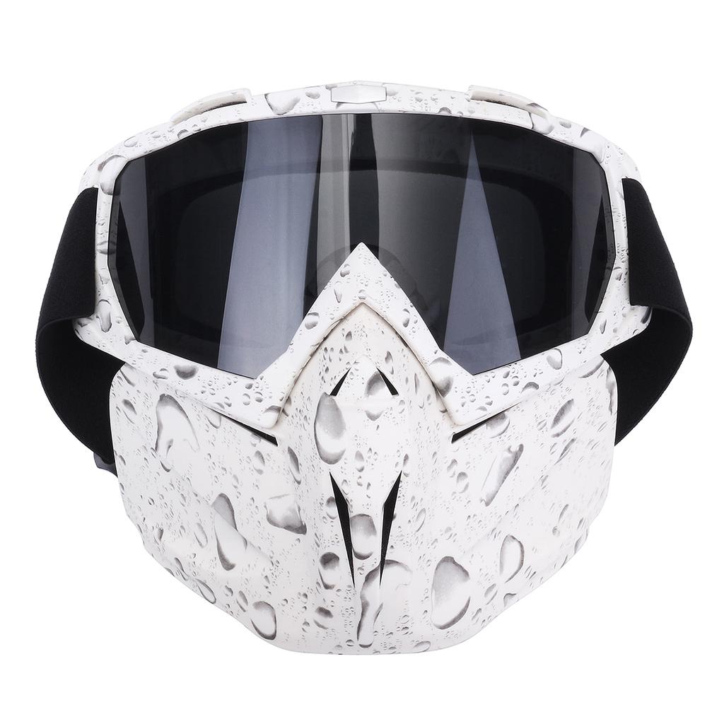 Buy Winter Snow Sports Ski Snowboard Goggles Full Face Mask Shield ...