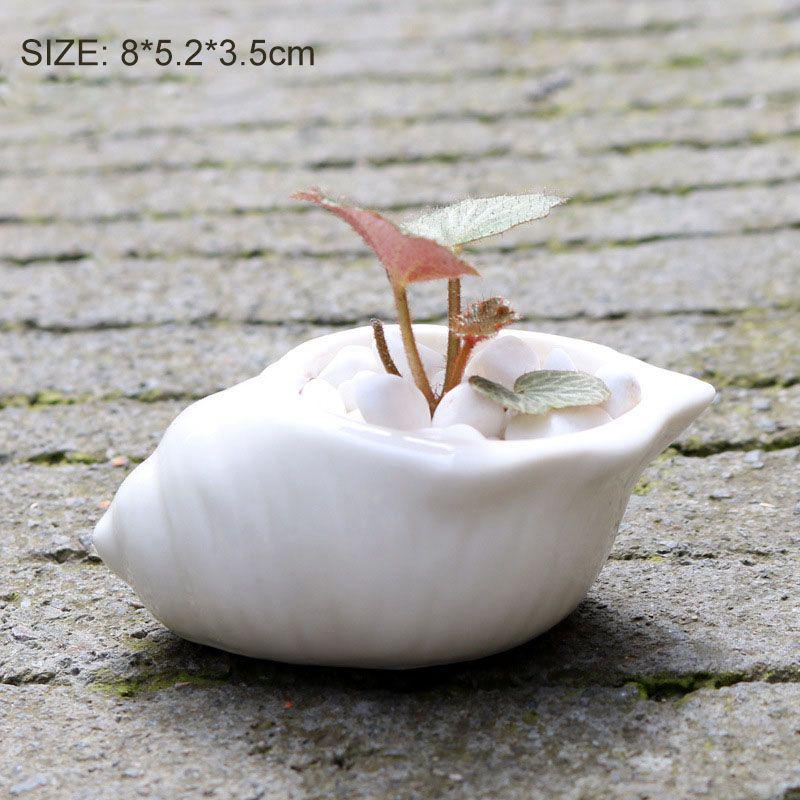 Buy 6pcs Mini White Small Flowerpot Shell Shape Ceramic Succulent Plant ...