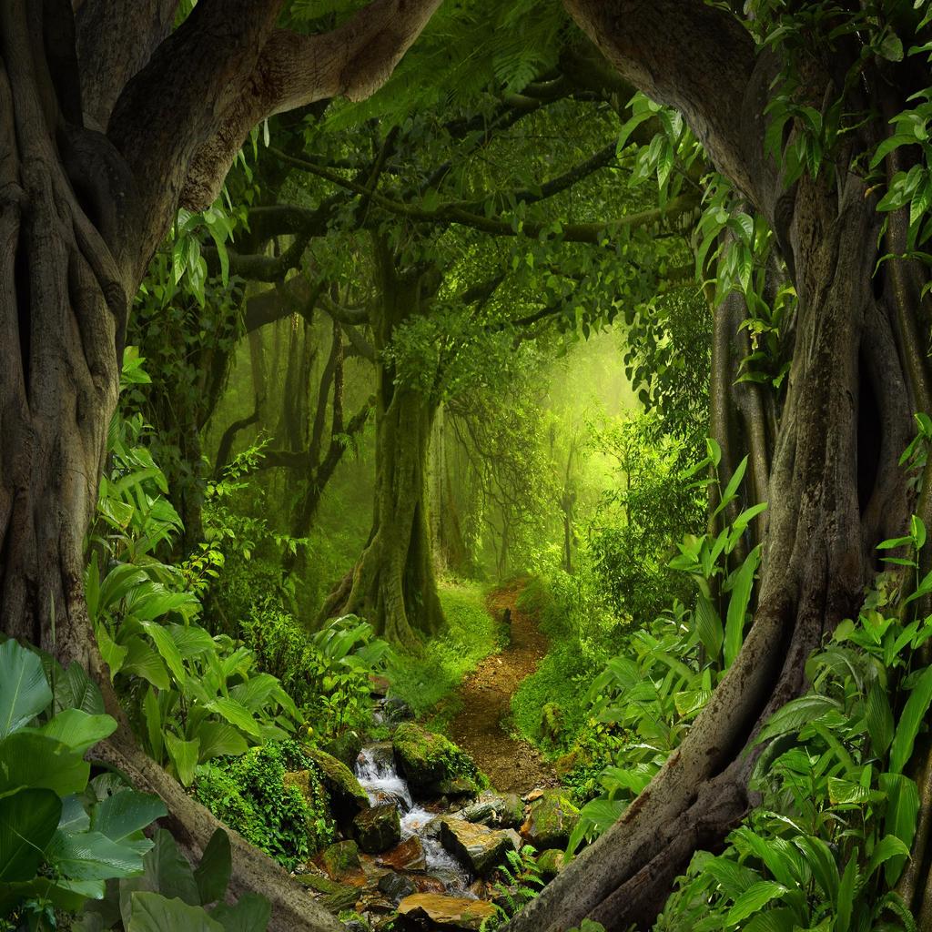 Cheap Forest Scenery Printed Curtain / Bedroom Dining Room Living Room ...