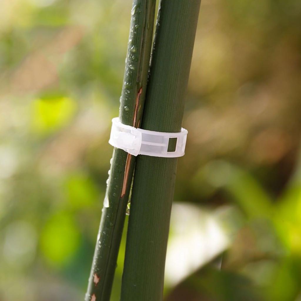 Buy Greenhouse Plastic Hanging Vine Plant Support Clips Vegetables ...
