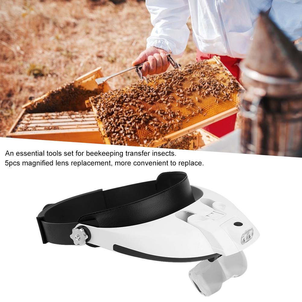 Buy Head-Mounted Double Layer LED Magnified Lens Bee Grafting Tools Set ...