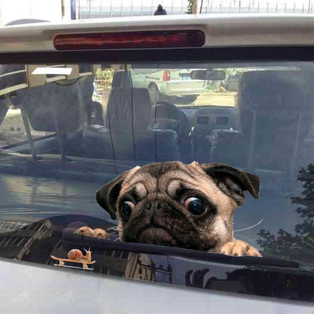 Buy Pug Dog Funny Car Stickers Decal Truck Bumper Window Car Sticker ...