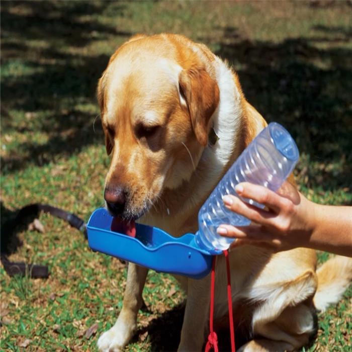 Buy Foldable Pet Dog Drinking Water Bottles Hand Held Puppy Squeeze ...