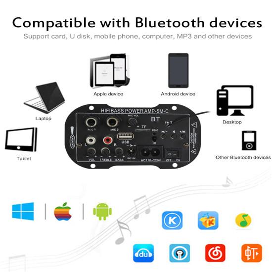 Buy Power Amplifier Aoard 5 Inch 12V 220V Bluetooth Car Digital ...