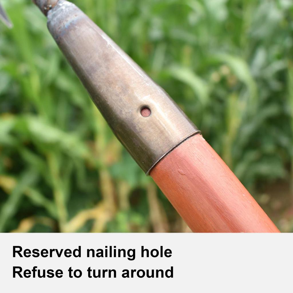 Buy Dethatcher Rake | Carbon Steel Garden Hand Rake | Metal Heavy Duty ...