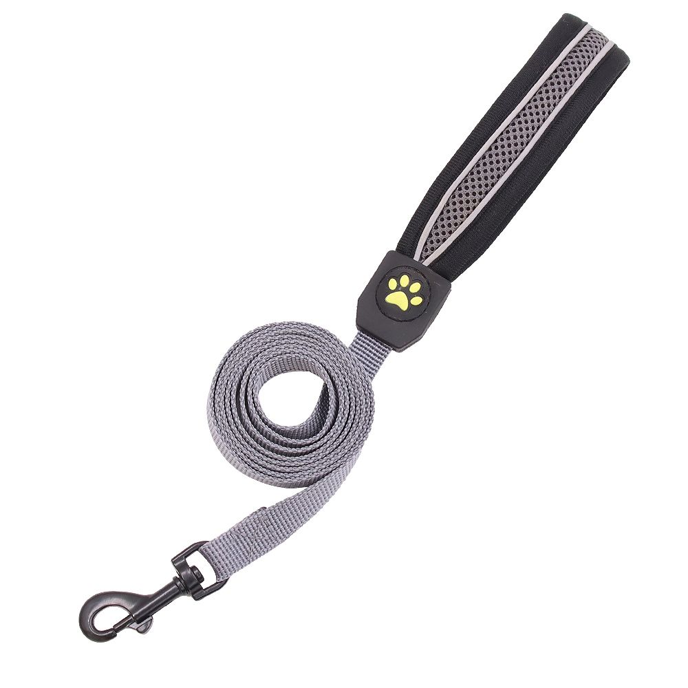 Buy Buckle Puppy Neck Strap Training Walking Dog Leads Pet Supplies Pet ...