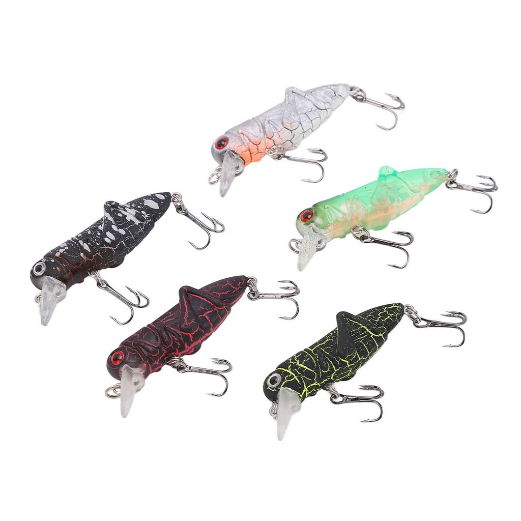 Buy 5PCS Insect Grasshopper Minnow Hard Baits 5.5cm/3.3g Artificial ...