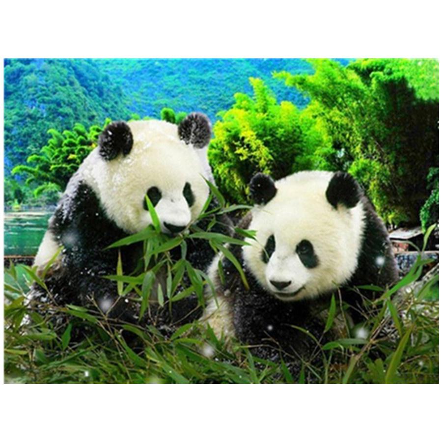 5D Elmas Boyama Nakış Sevimli panda Elmas Boyama Nakış Mozaik Çapraz ...
