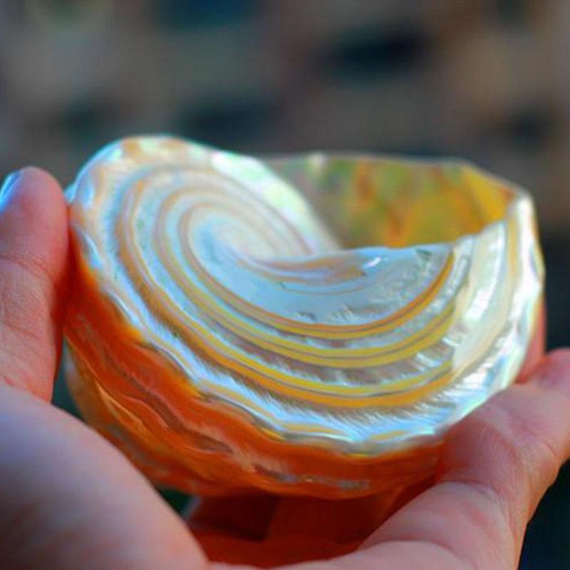 Buy Natural Pearl Tower Snail Decorative Large Seashell Natural Sea ...