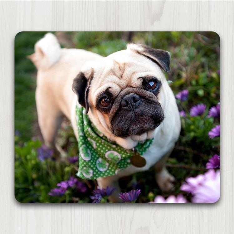 Buy Pug Dog New Design Silon Anti-slip Mousepad Computer Mouse Pad ...