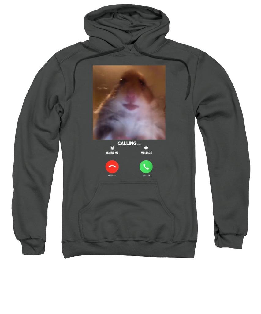 Buy 300 GSM Men's Healthy Cotton Hoodies dank meme hamster Print ...