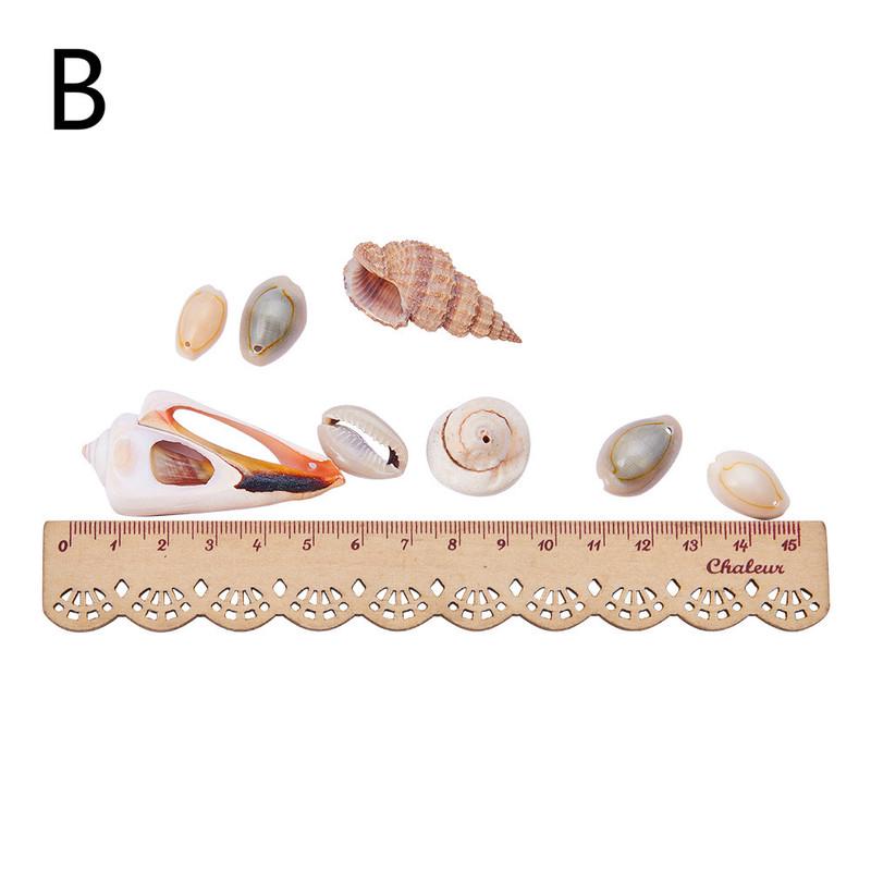 Buy 1 Box Natural Shell Conch Ornaments Accessories Parts Diy Material ...