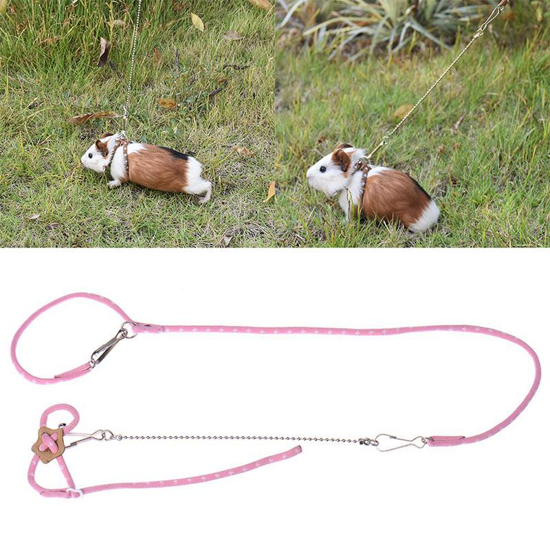 Buy Little Small Pet Harness Leash Bird Parrot Mouse Hamster Ferrets ...