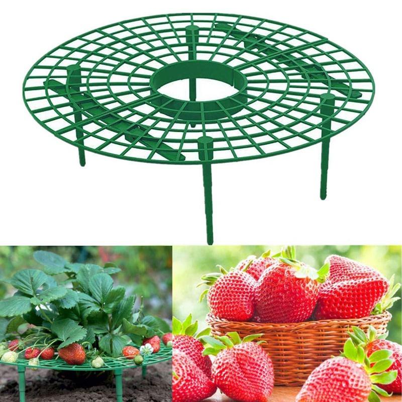 Buy 5/10PCS Strawberry Stand Frame Holder Balcony Planting Rack Fruit ...