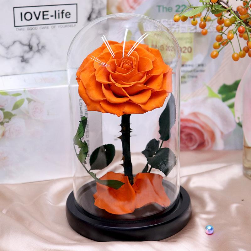 Buy Preserved Real Rose Eternal Rose in Glass Dome Gift for Her ...