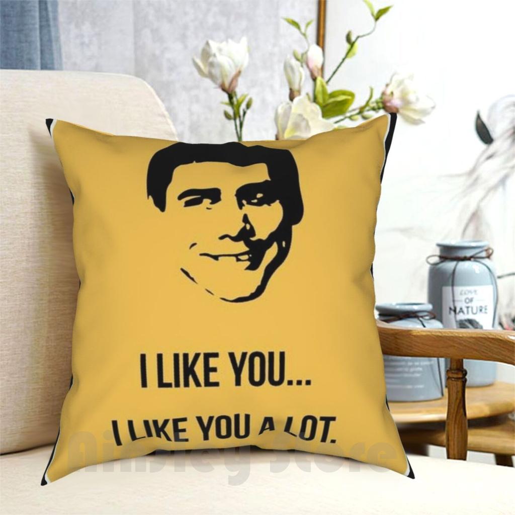 90S Movie Dumb Dumber Pillow Case Printed Home Soft DIY Pillow cover ...