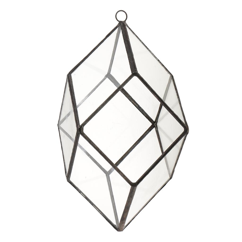 Buy Rhombus Shape Hanging Glass Geometric Terrarium Box Succulent Air ...