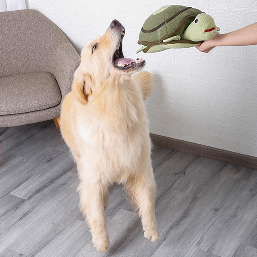 Buy Dog Vocalization Plush Toy Shrunk Turtle Training To Sniffing Play ...