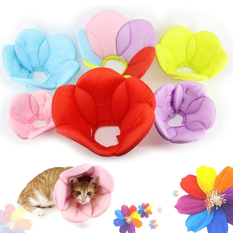 Buy Anti-Bite Pet Neck Collar Protective Safety Dog Cat Wound Healing ...