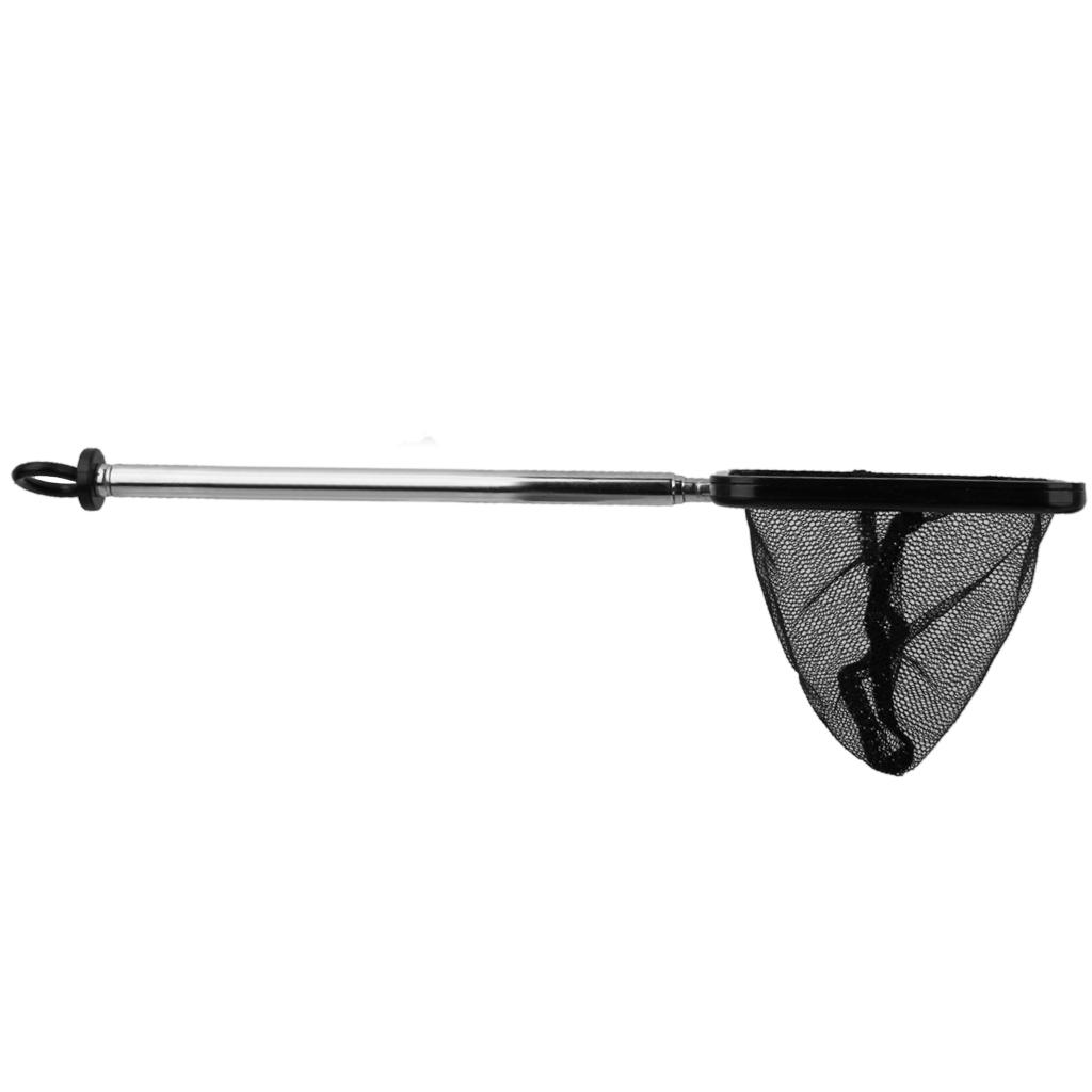 Satın alın Square Aquarium Shrimp Small Betta Tetra Fish Tank Net W ...