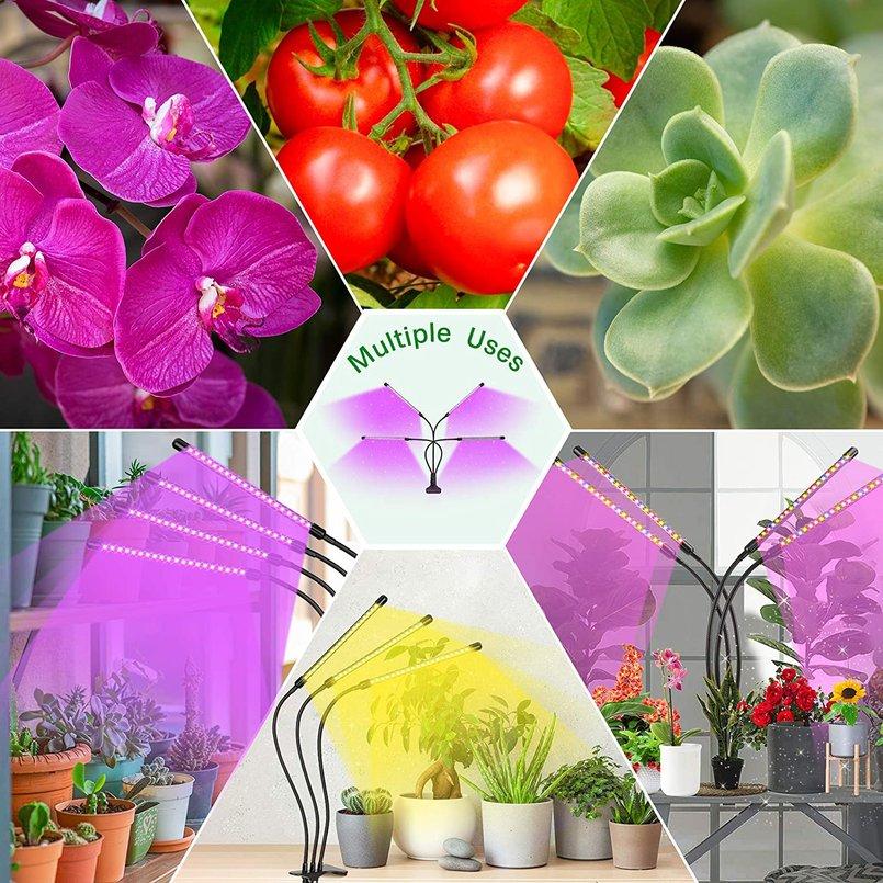 Buy PHome Led Clip Plant Growth Light Four Tube Plant Light Hose Tripod ...