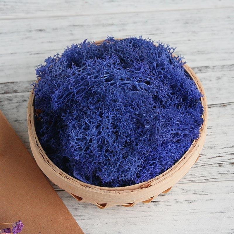Buy Immortal Fake Flower Moss Grass Key Chain Wall DIY Flower Mini ...