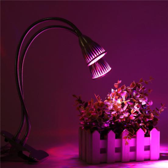 Buy 10W Dual Head Clip On Flexible LED Plant Grow Light Indoor Flower ...