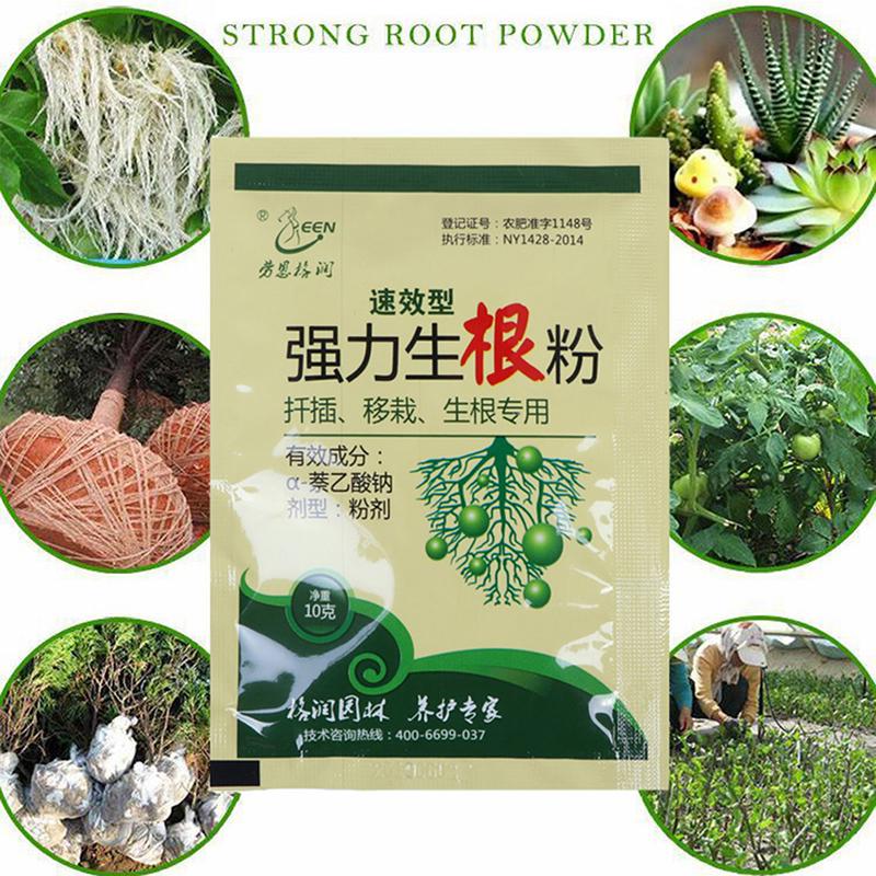 Buy ABT Rooting Powder Transplanting Plant Rapid Growth Root Hormone ...