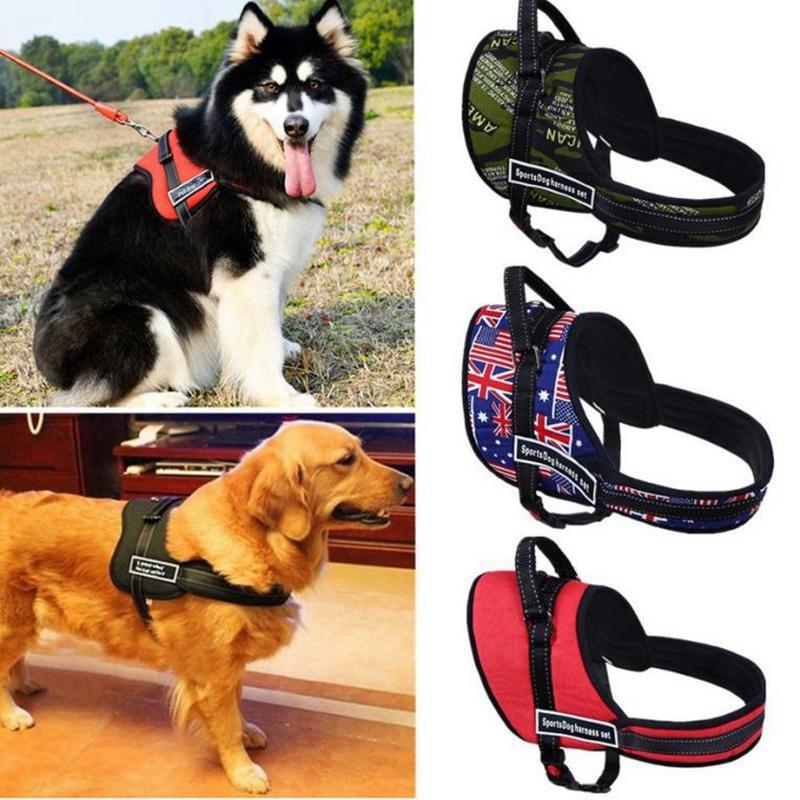 Buy Adjustable Safety Large Pet Dogs Harness Chest Strap Chest Belt ...