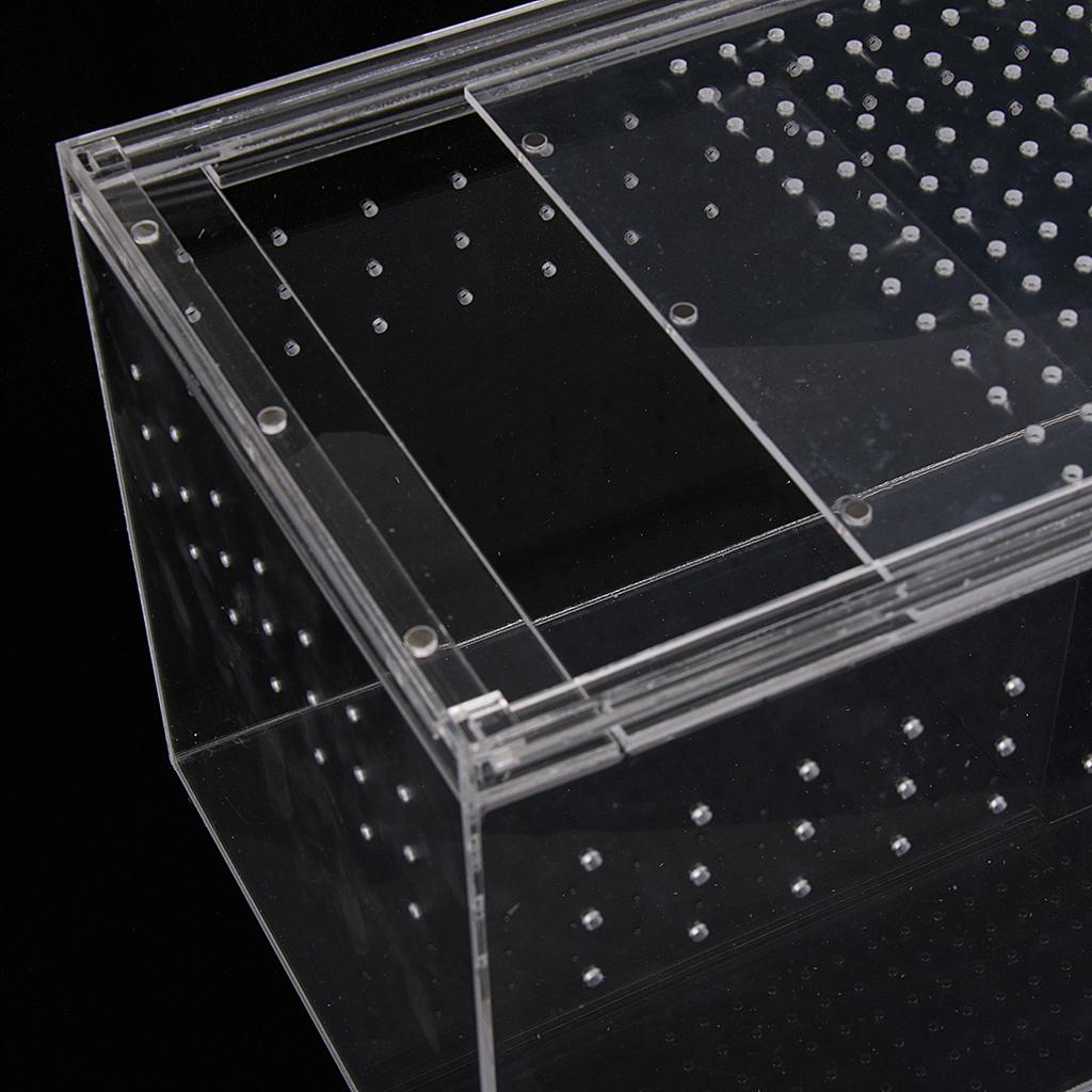 Buy Clear Acrylic Terrarium Box Reptile & Amphibian Lizard Turtle ...