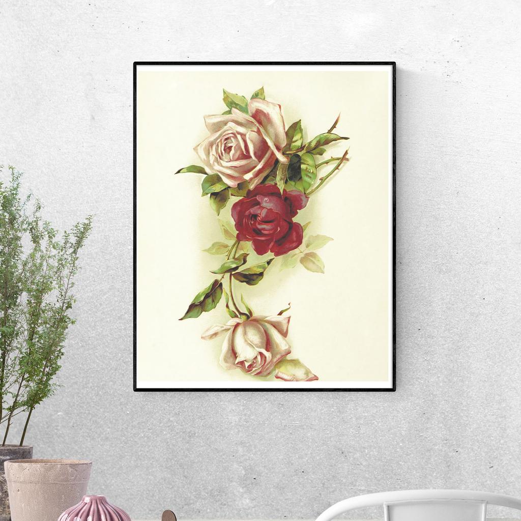 Satın alın Vintage Watercolor Rose Drawing Poster | Joom