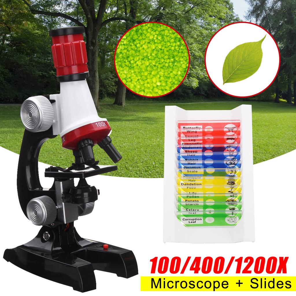 Microscope Kit Lab LED 100X-400X-1200X Home School Science Educational ...