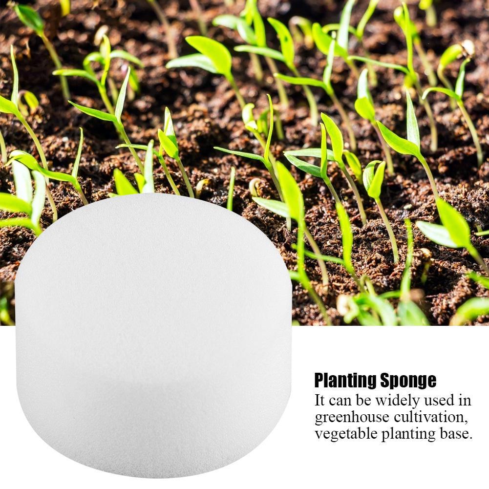 50pcs Soilless Hydroponic Sponge Planting Gardening Tool Seedling ...