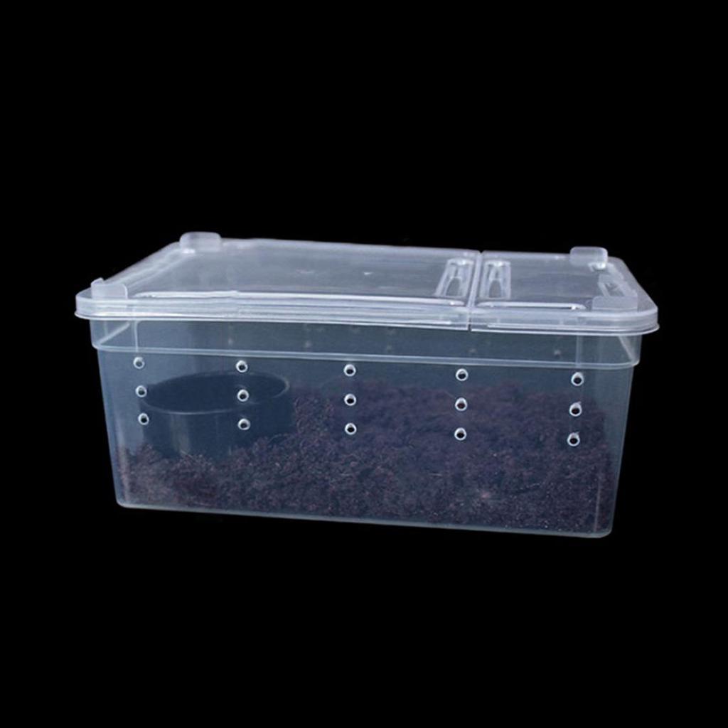 Buy Monoceros Transparent Plastic Amphibian Insect Reptile Breeding Box ...