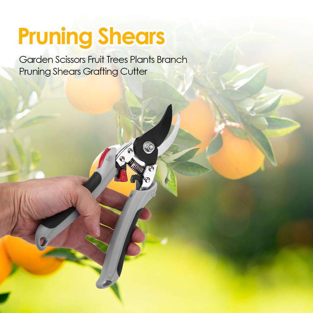 Buy Garden Scissors Fruit Trees Plants Branch Pruning Shears Grafting ...