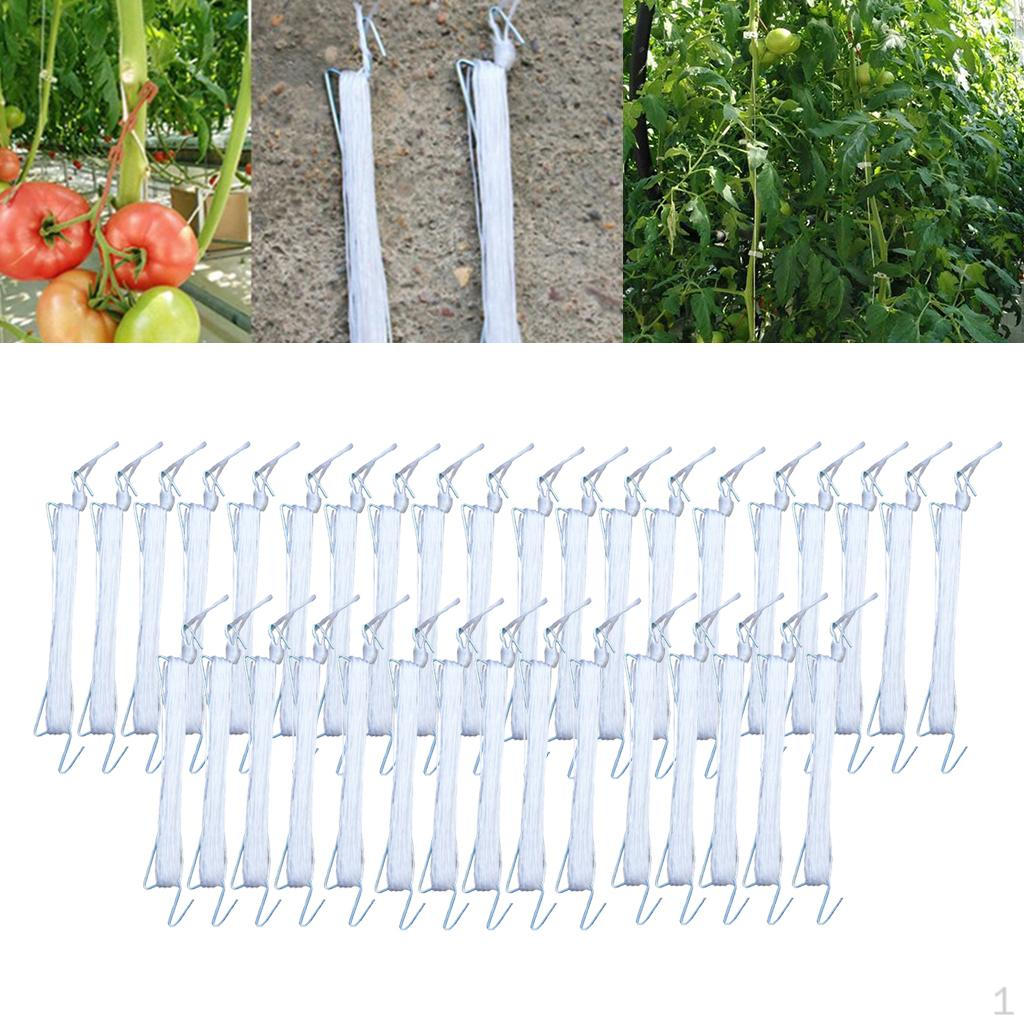 35x 10M Garden Tomato Hook Vegetable Clamps For Garden Farms Planting ...